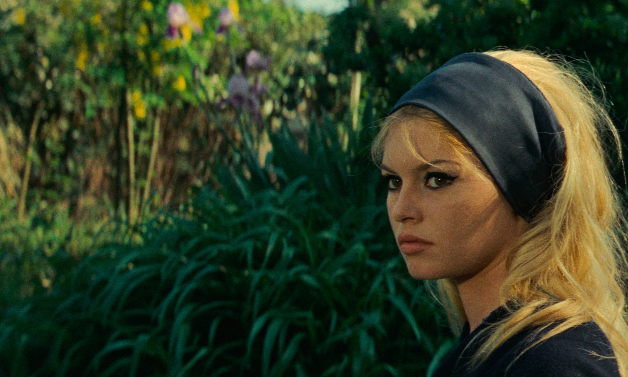 Aldeburgh Cinema | Home