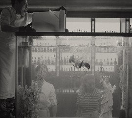 La Cocina / The Kitchen