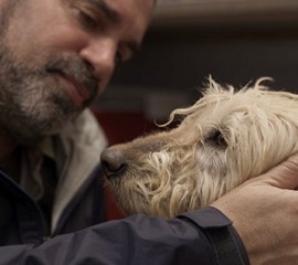 Dogspiracy (Discover + Dine)